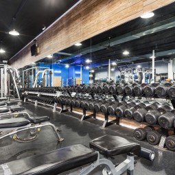 Gym Addict Online Fitness